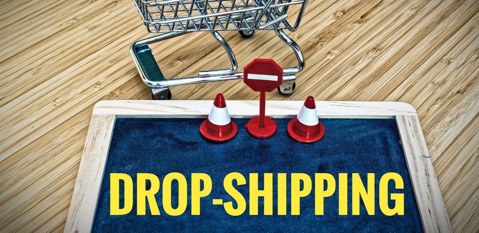 The Ultimate Guide For Top Eco-friendly Dropshippers